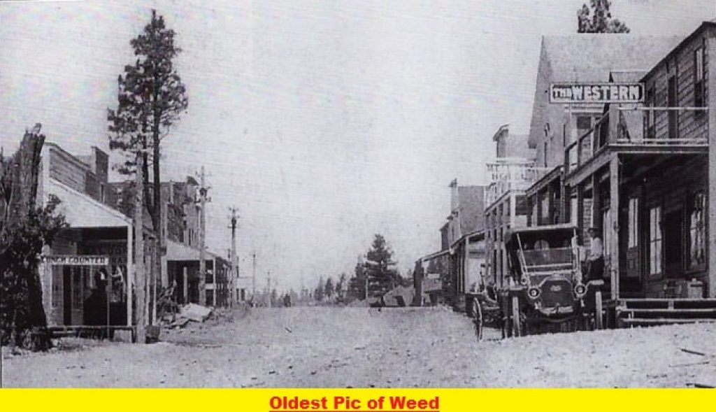 Weed California History & Interesting Facts - Exploring-USA