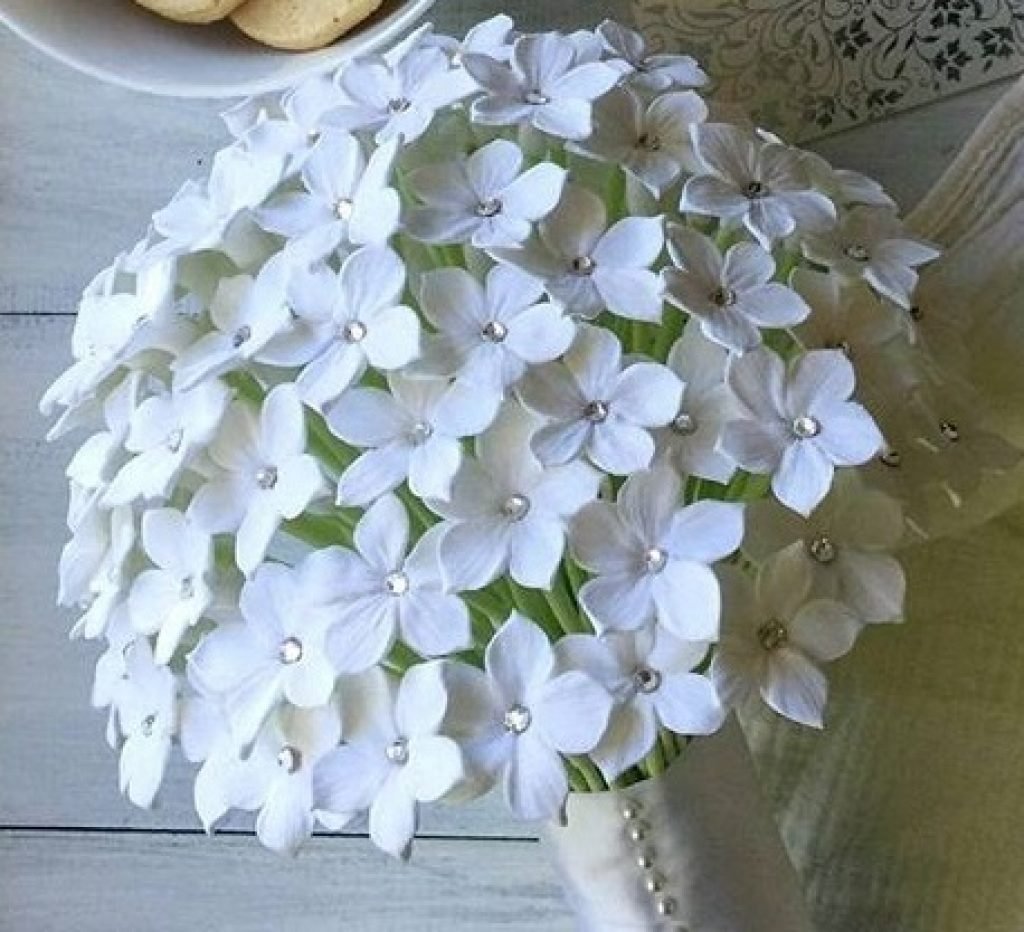 10 Most Popular Wedding Flowers in the US - Exploring-USA